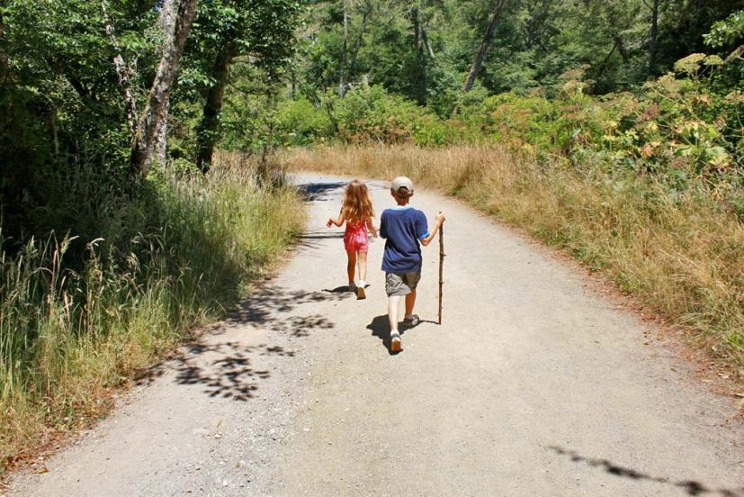 5 Fantastic Fall Family Hikes in Marin | Marin Mommies