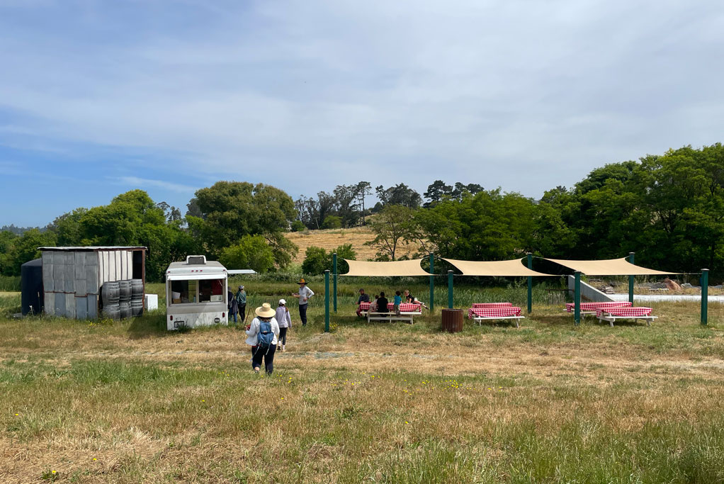 U-Pick Organic Raspberries at Boring Farm in Sebastopol | Marin Mommies