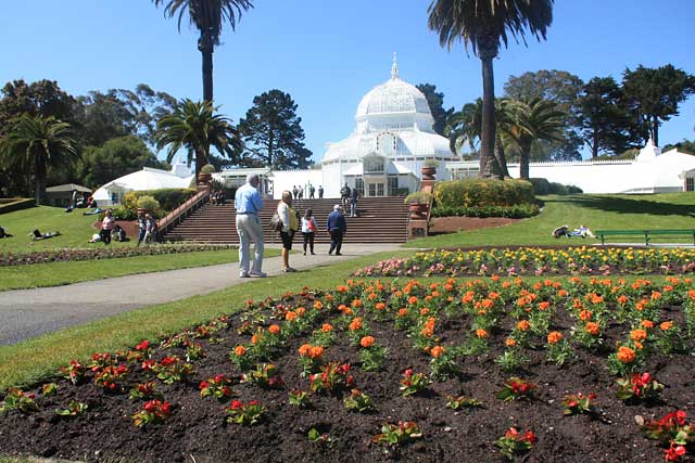 Butterflies and Blooms Abound at San Francisco's Conservatory of ...