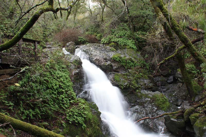 A Marin Winter Waterfall Hike at Cascade Canyon | Marin Mommies
