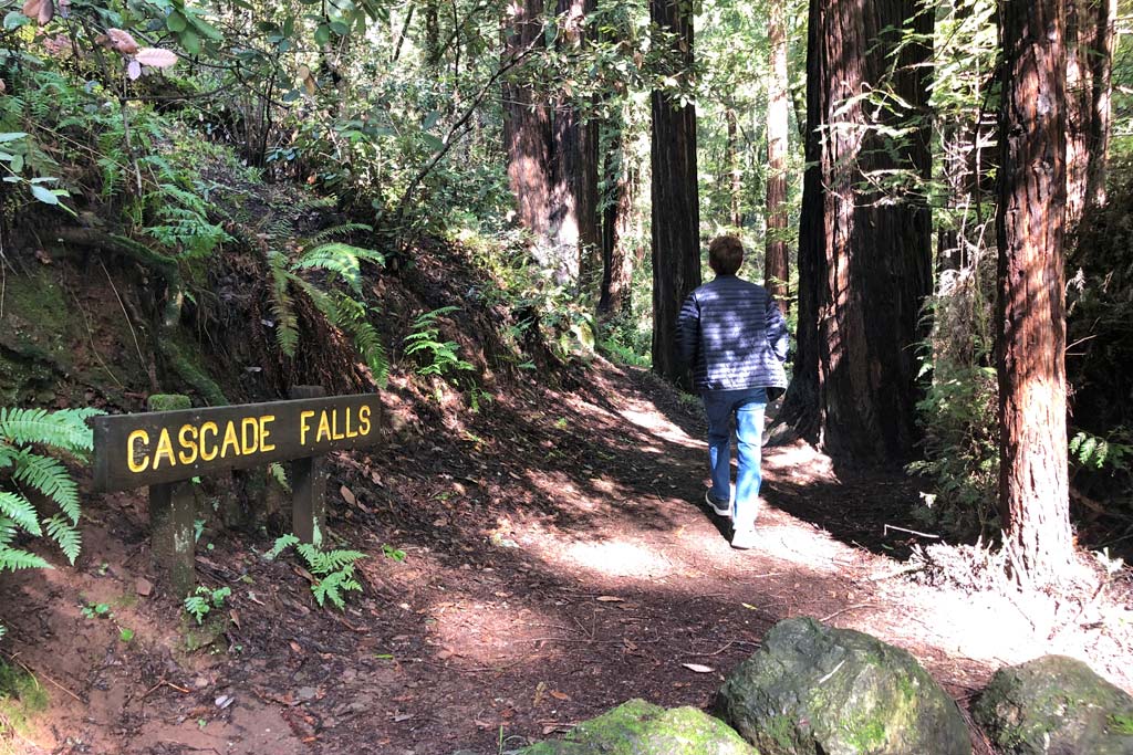 An Easy Family Waterfall Hike to Mill Valley's Cascade Falls | Marin ...