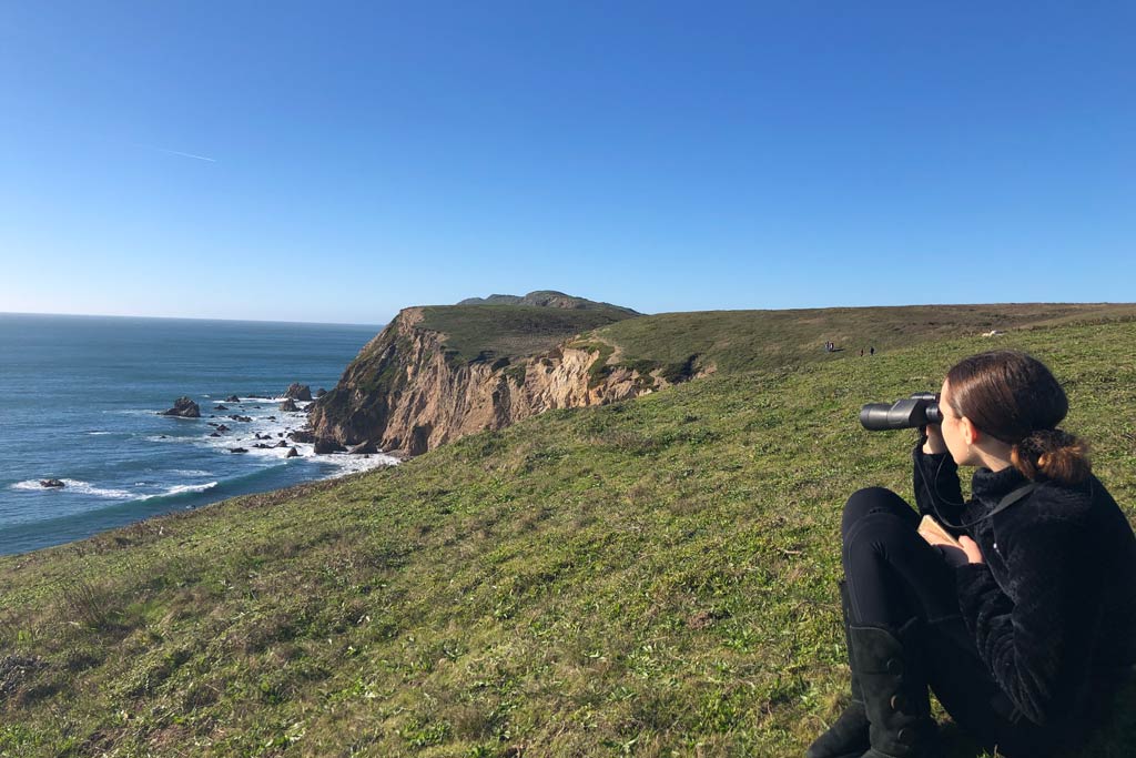 Winter Whale and Elephant Seal Watching at Point Reyes National ...