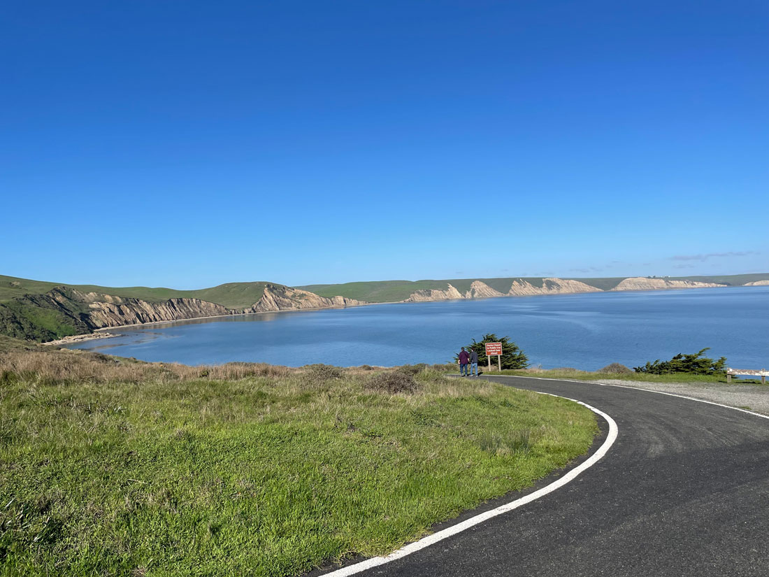 Elephant Seals, Wildflowers, and More at Point Reyes's Chimney Rock ...