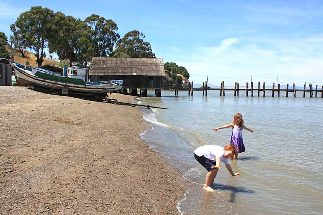 Best Marin County Beaches for Families | Marin Mommies