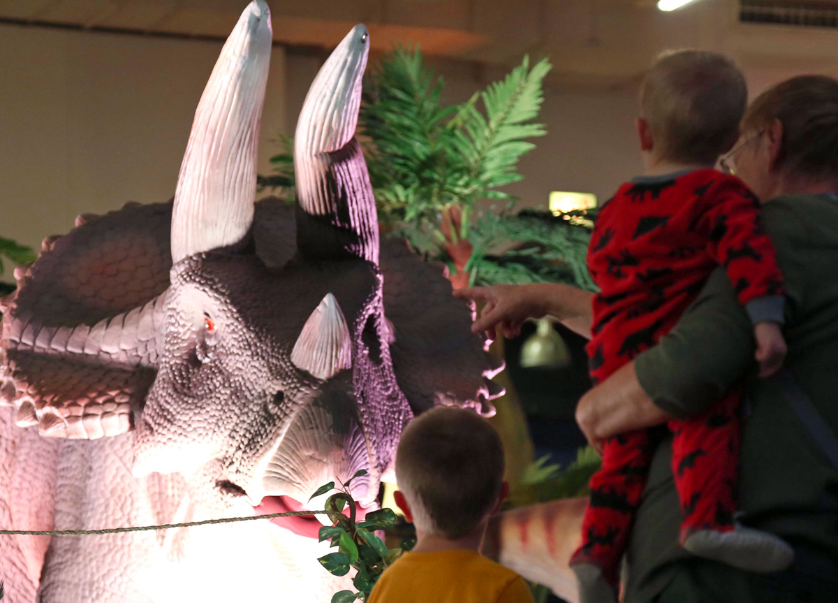 Marin Weekend Family Fun for January 9–11 | Marin Mommies