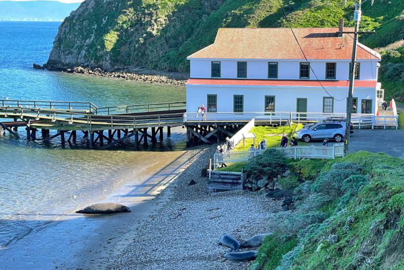 Marin Weekend Family Fun for February 6–8 | Marin Mommies