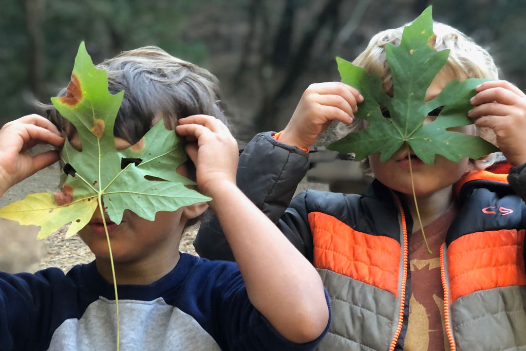 Forest School in Inverness and Point Reyes | Marin Mommies