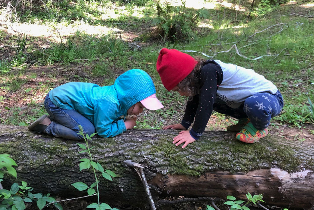 Forest School in Inverness and Point Reyes | Marin Mommies