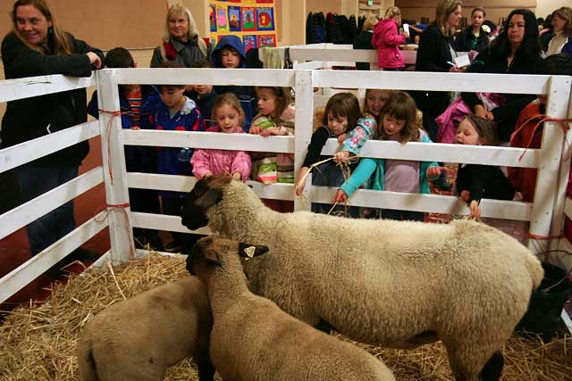 Farm Day 2025 Returns to the Marin Center! | Marin Mommies