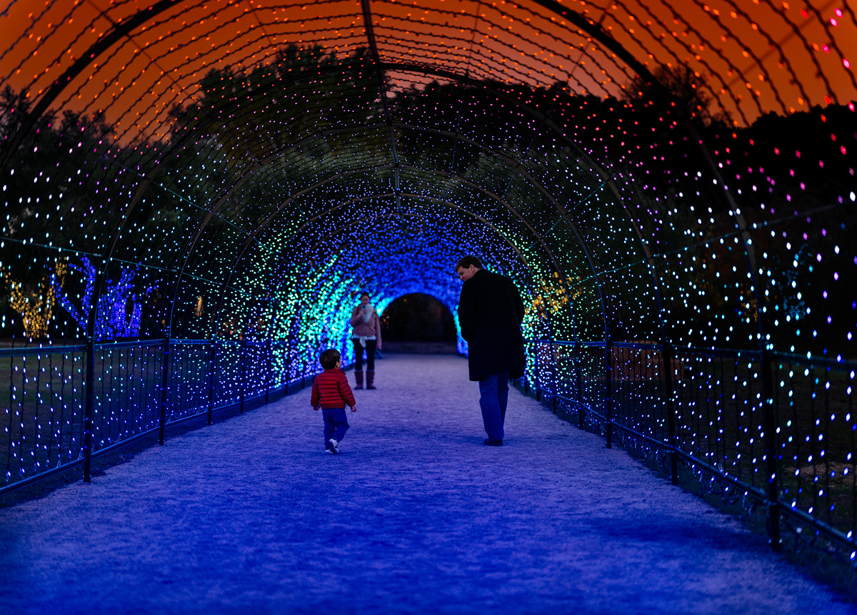 Holiday Light Experiences in the San Francisco Bay Area | Marin Mommies
