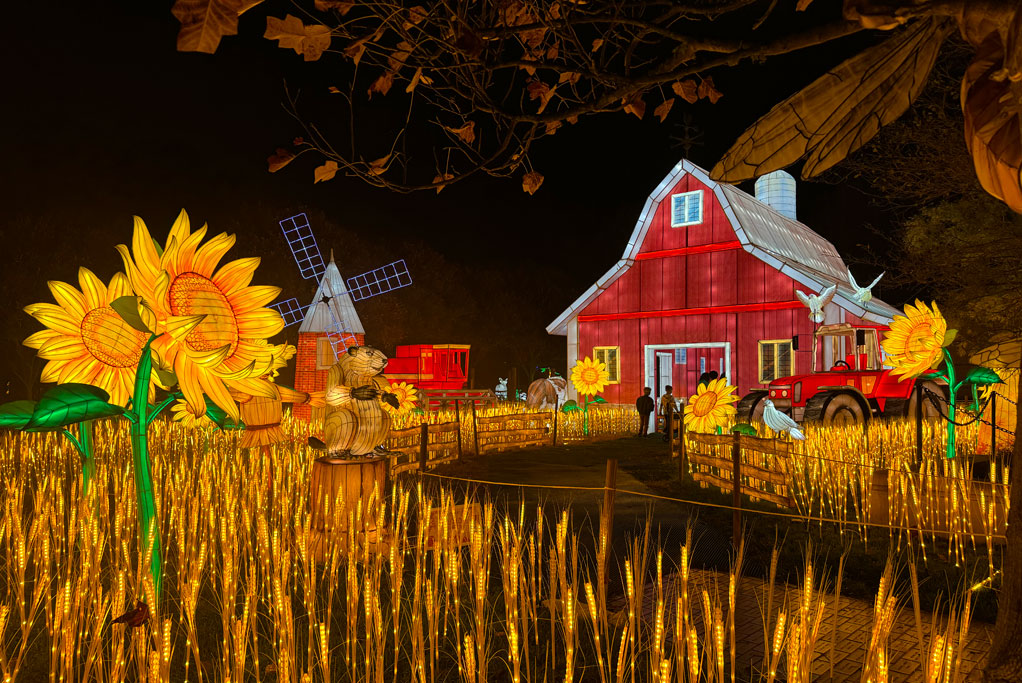 Glowfari, Oakland Zoo| Marin Mommies