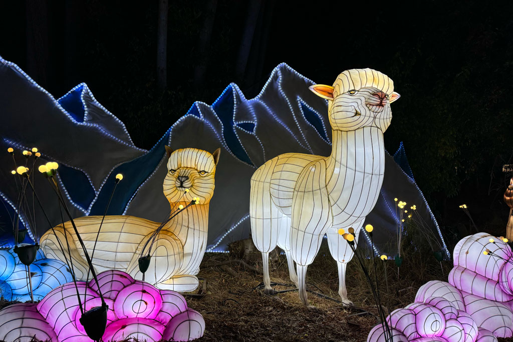 Glowfari, Oakland Zoo| Marin Mommies