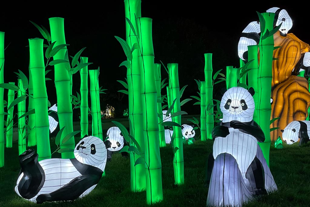 Glowfari Lights Up the Night at the Oakland Zoo | Marin Mommies