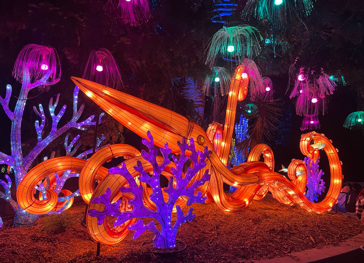 Glowfari, Oakland Zoo| Marin Mommies