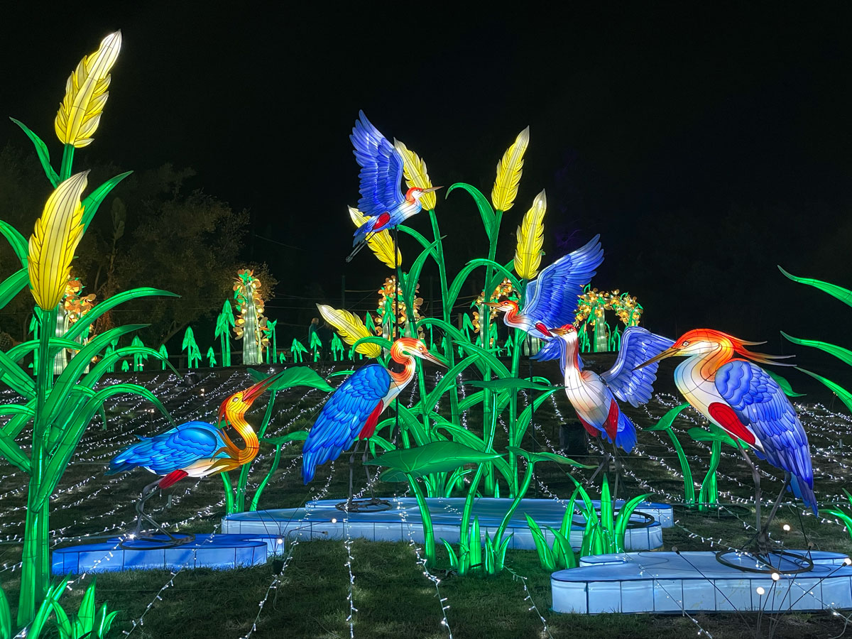 Glowfari, Oakland Zoo| Marin Mommies