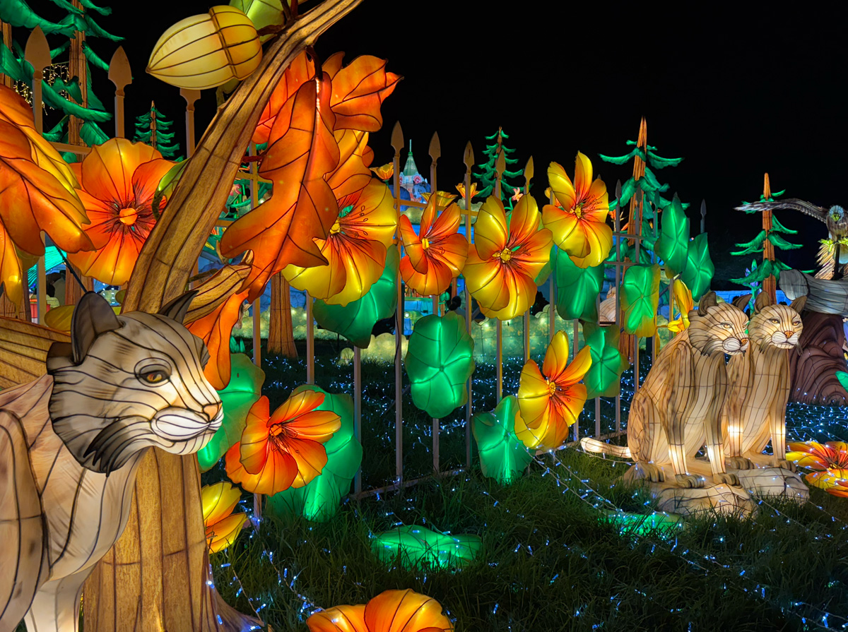 Glowfari, Oakland Zoo| Marin Mommies