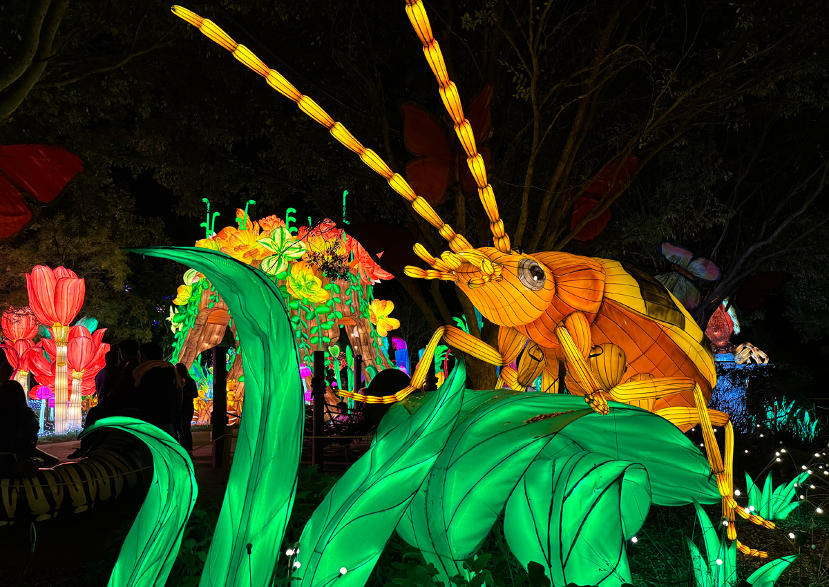Glowfari, Oakland Zoo| Marin Mommies