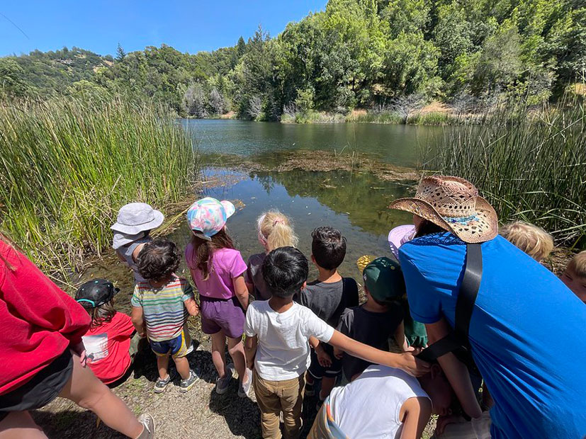 Unforgettable Nature Adventures with Marin GreenPlay Camp!| Marin Mommies