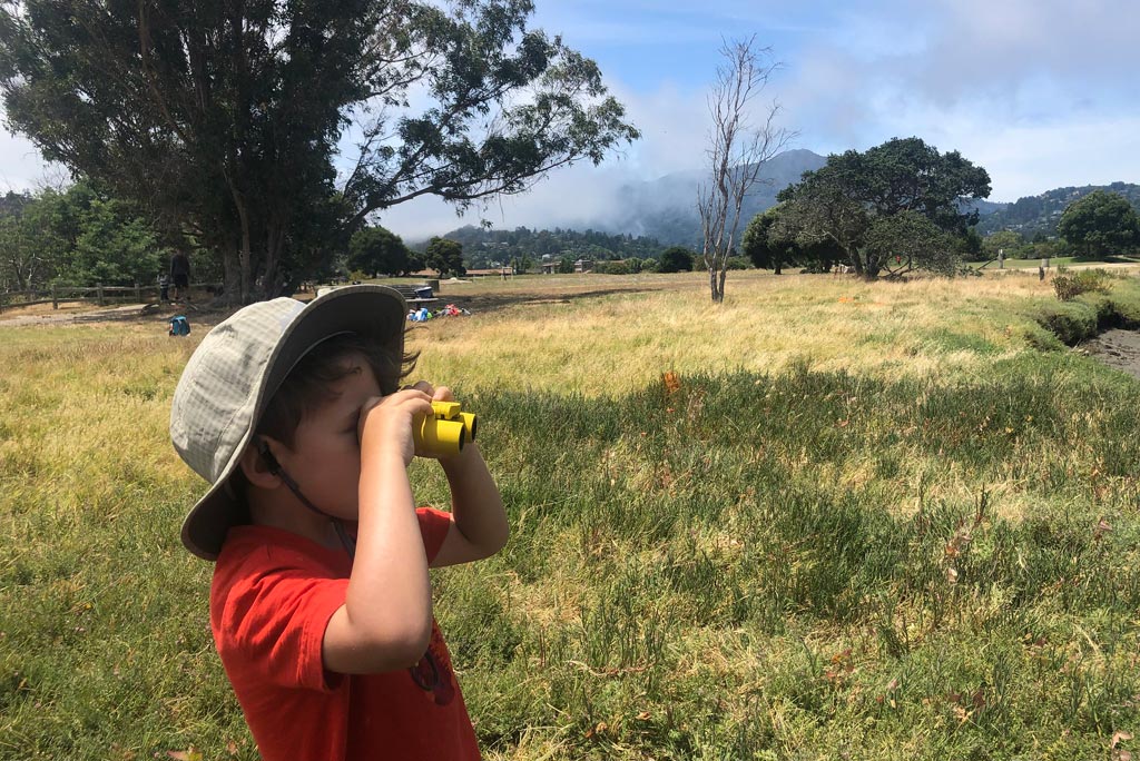 Unforgettable Nature Adventures with Marin GreenPlay Camp!| Marin Mommies