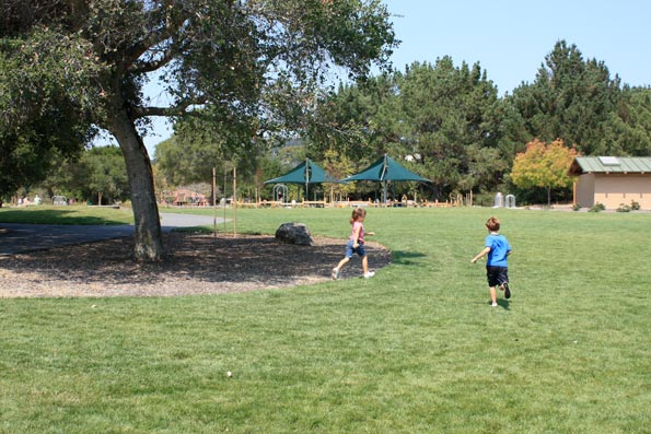 Marin Playground Profile: Hal Brown Park at Creekside | Marin Mommies