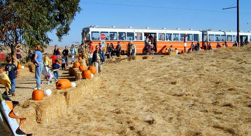 Halloween Train Rides for Kids in Northern California | Marin Mommies