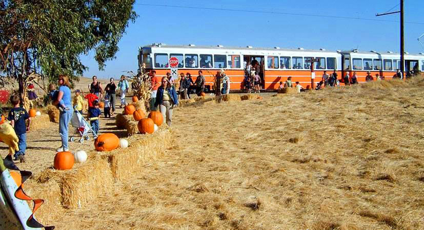 Halloween Train Rides for Kids in Northern California| Marin Mommies