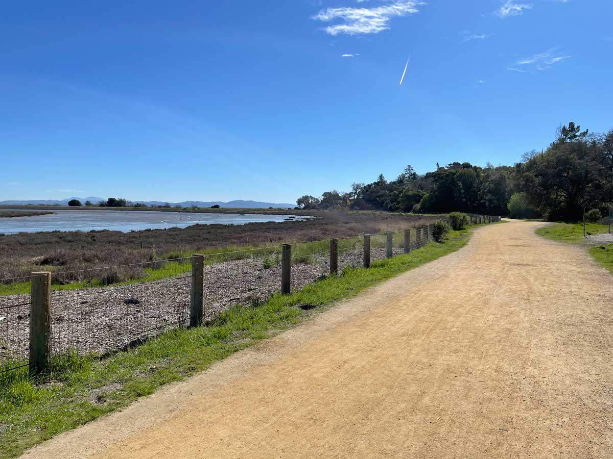 Best biking spots for kids in Novato