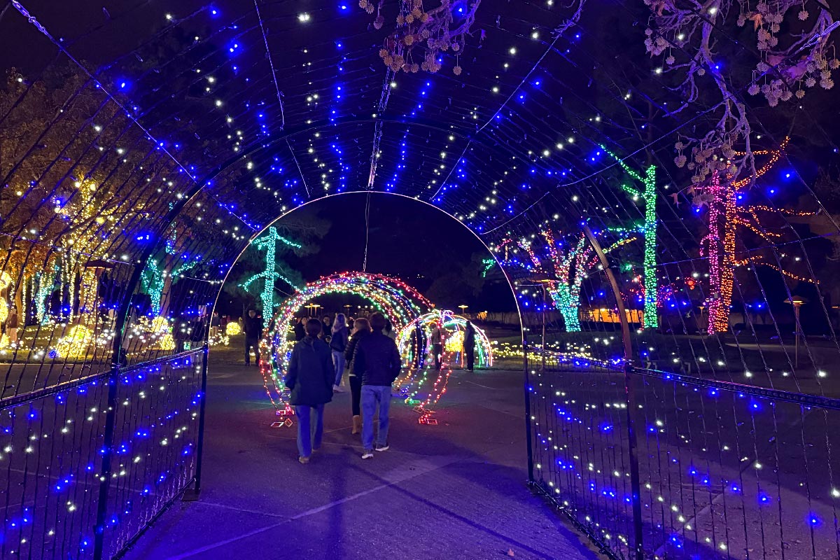 Holiday Light Experiences in the San Francisco Bay Area | Marin Mommies