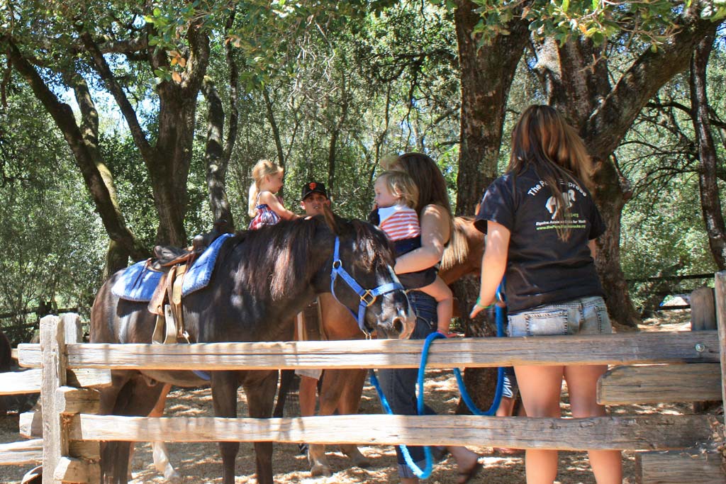 Santa Rosa's Howarth Park Is Worth the Trip | Marin Mommies