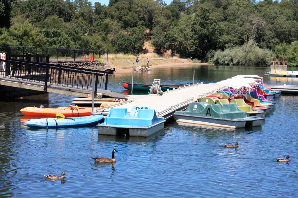 Santa Rosa's Howarth Park Is Worth the Trip | Marin Mommies