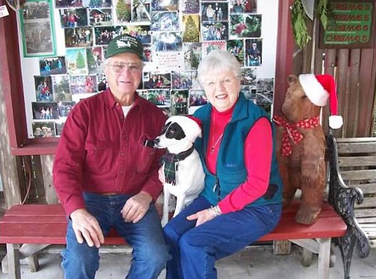 50 Years of Family Tradition at Larsen’s Christmas Tree Farm | Marin ...