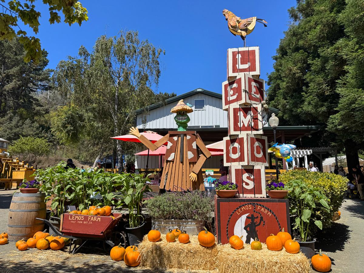 Fall Family Fun at Lemos Farm in Half Moon Bay | Marin Mommies