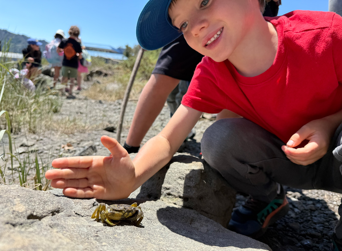 Unforgettable Nature Adventures with Marin GreenPlay Camp!| Marin Mommies