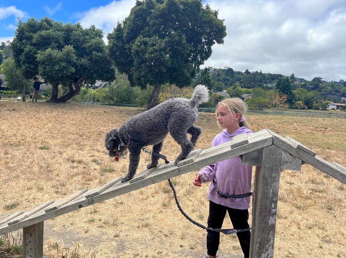 Unforgettable Nature Adventures with Marin GreenPlay Camp!| Marin Mommies