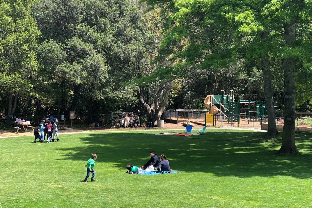 Marin Playgrounds: Marinwood Park in San Rafael | Marin Mommies