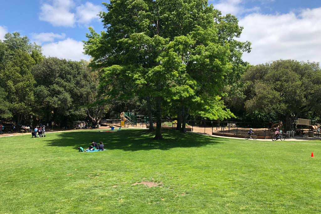 Marin Playgrounds: Marinwood Park in San Rafael | Marin Mommies