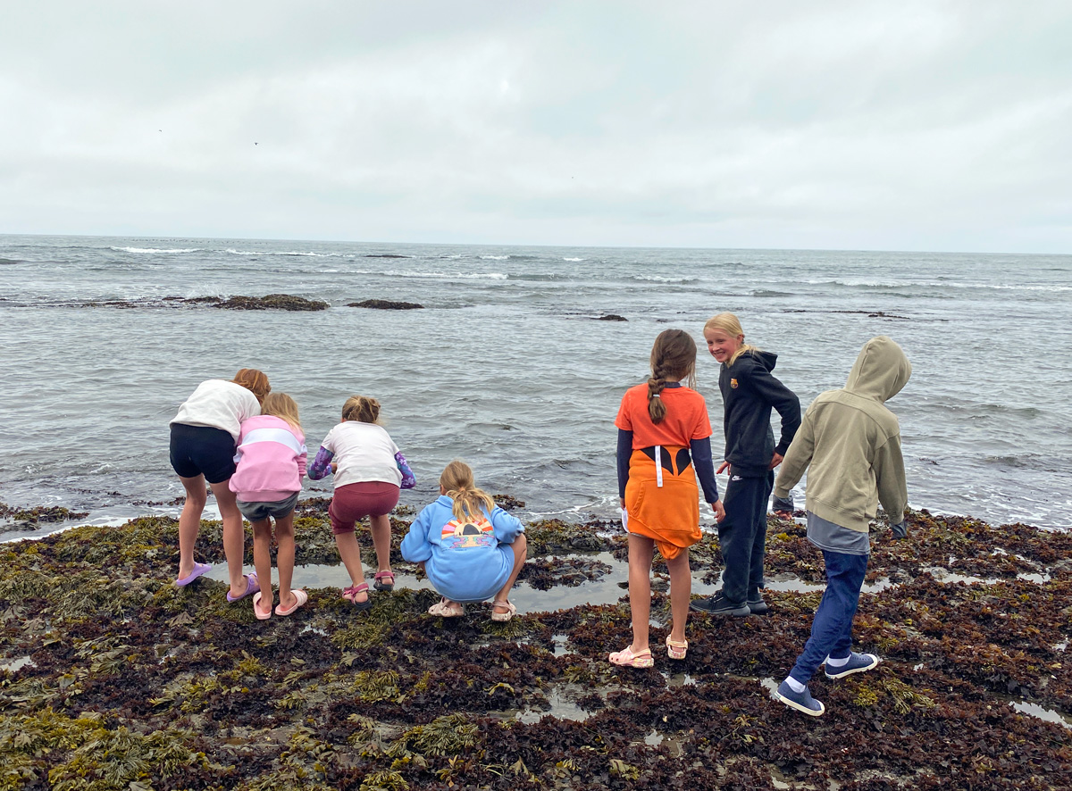 Unforgettable Nature Adventures with Marin GreenPlay Camp!| Marin Mommies