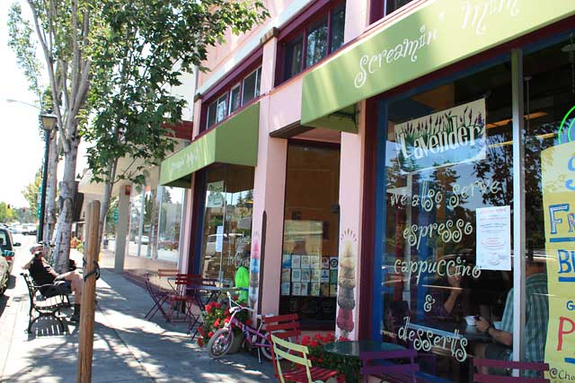 Ice Cream Rules at Screamin' Mimi's in Sebastopol | Marin Mommies