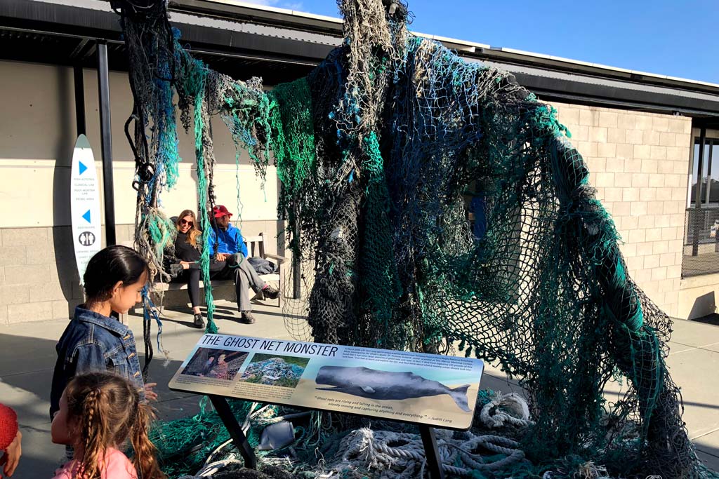 A Visit to the Marine Mammal Center | Marin Mommies