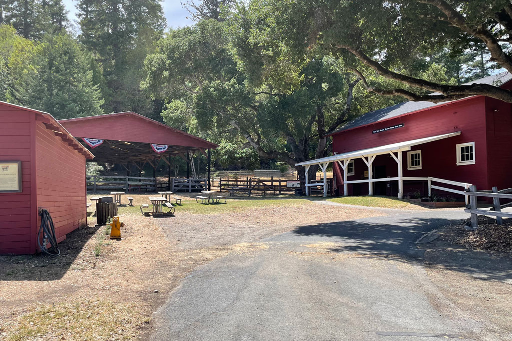 Visit the Morgan Horse Ranch at Point Reyes | Marin Mommies