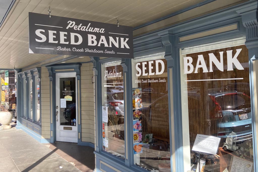 Get Your Garden Started with a Trip to the Petaluma Seed Bank | Marin ...