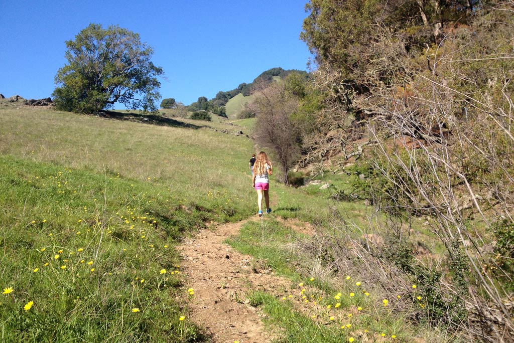 Hiking with Kids in Marin: Mount Burdell Open Space Preserve | Marin ...