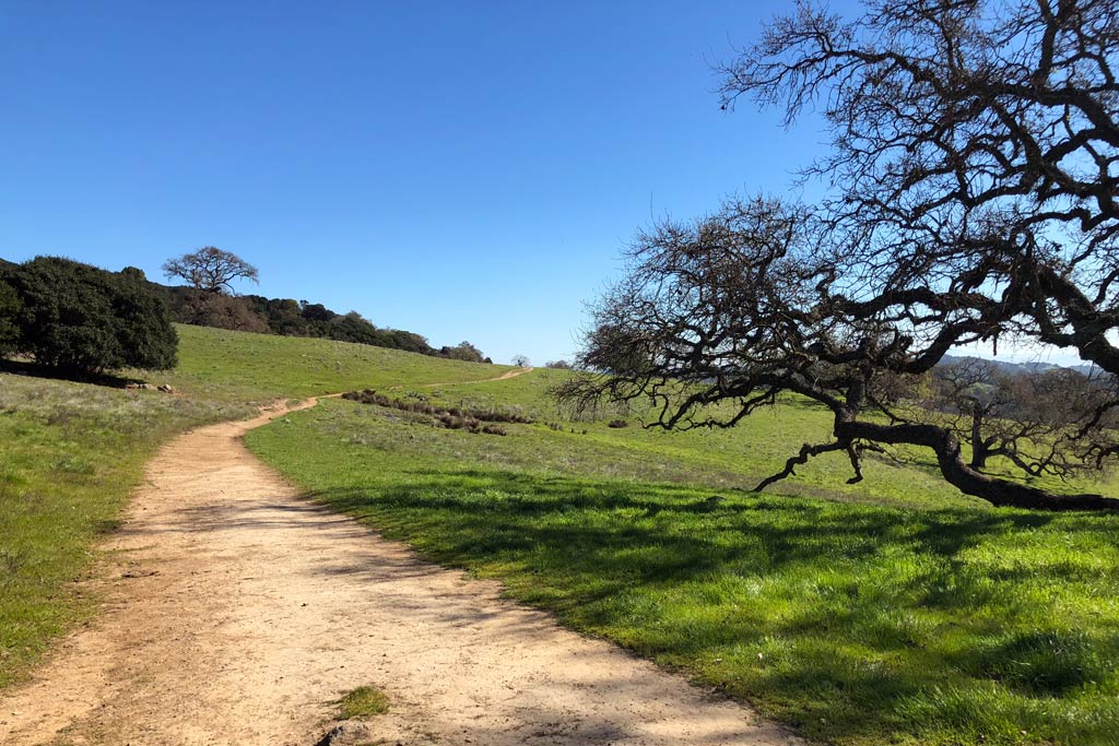 Hiking with Kids in Marin: Mount Burdell Open Space Preserve | Marin ...