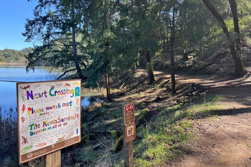 Marin Weekend Family Fun for January 30–February 1 | Marin Mommies