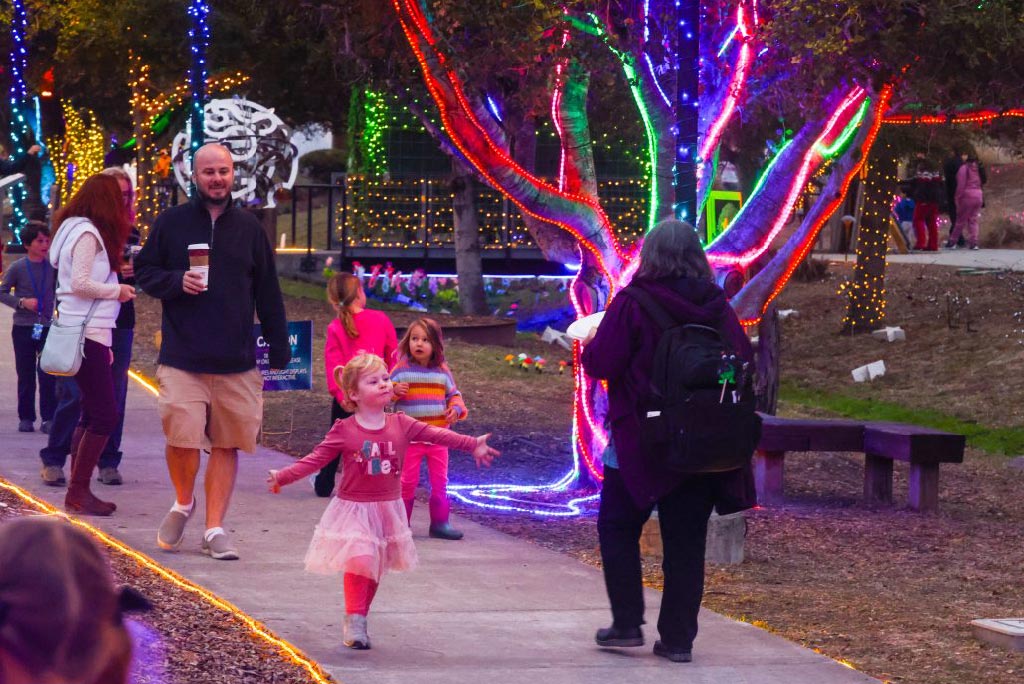 Holiday Light Experiences in the San Francisco Bay Area | Marin Mommies