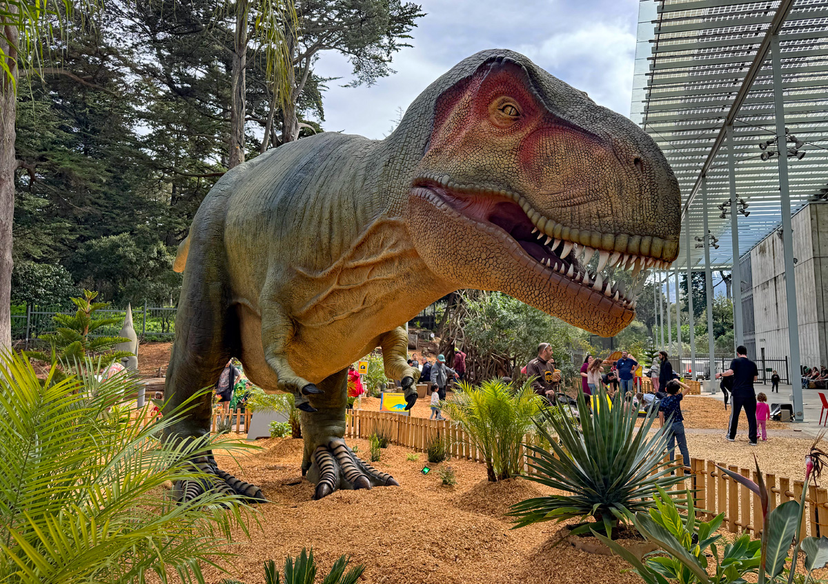 Sink Your Teeth Into Dino Days at the California Academy of Sciences ...