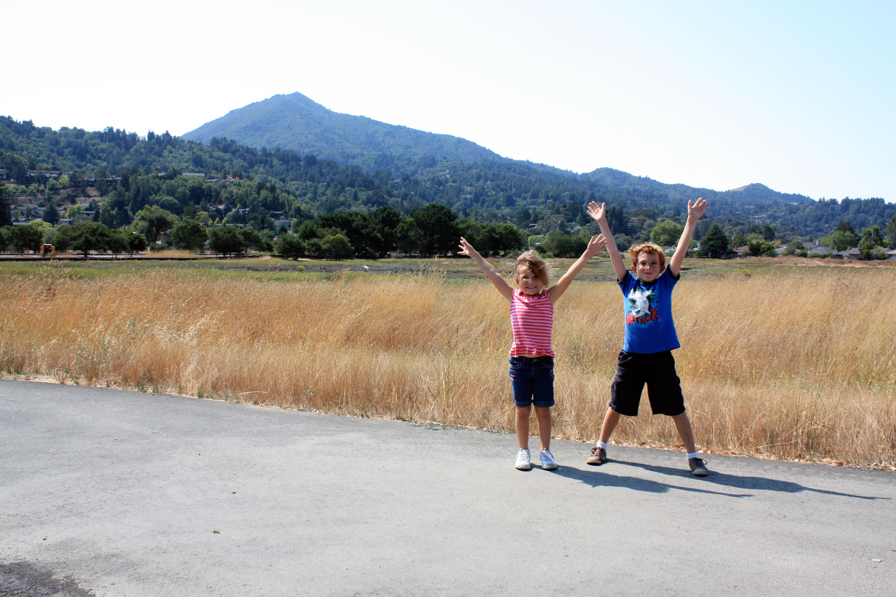 Marin Playground Profile: Hal Brown Park at Creekside | Marin Mommies