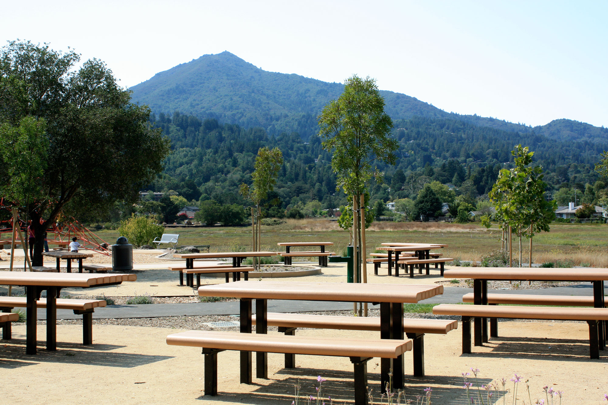 Marin Playground Profile: Hal Brown Park at Creekside | Marin Mommies