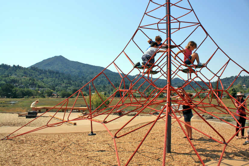 Marin Playground Profile: Hal Brown Park at Creekside | Marin Mommies