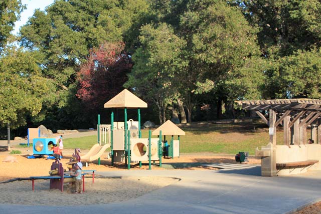 Marin's 5 Favorite Playgrounds for Family Fun | Marin Mommies